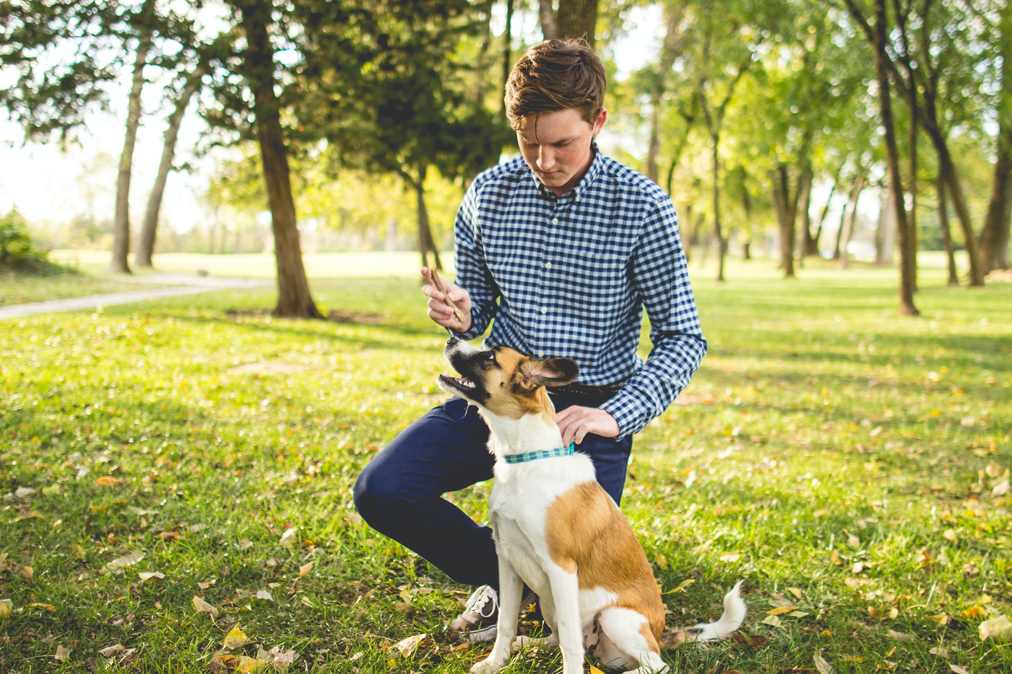 Man s Best Friend Inspiring Facts Man s Best Friend Inspiring Facts